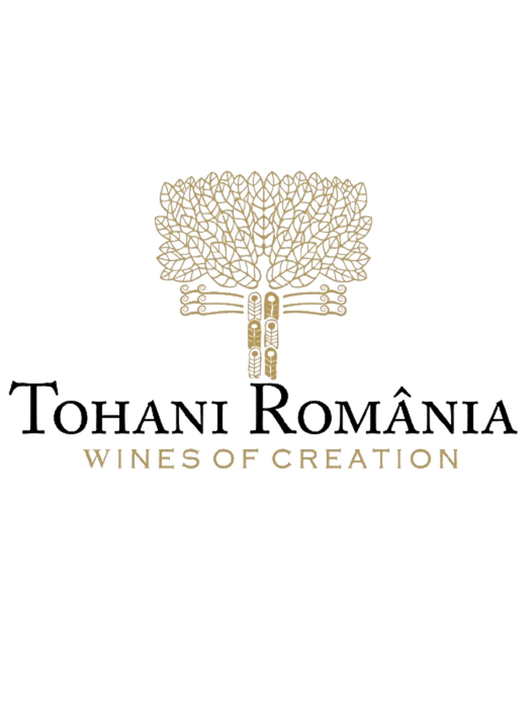 Tohani - Wines of creation – Romanian Drinks