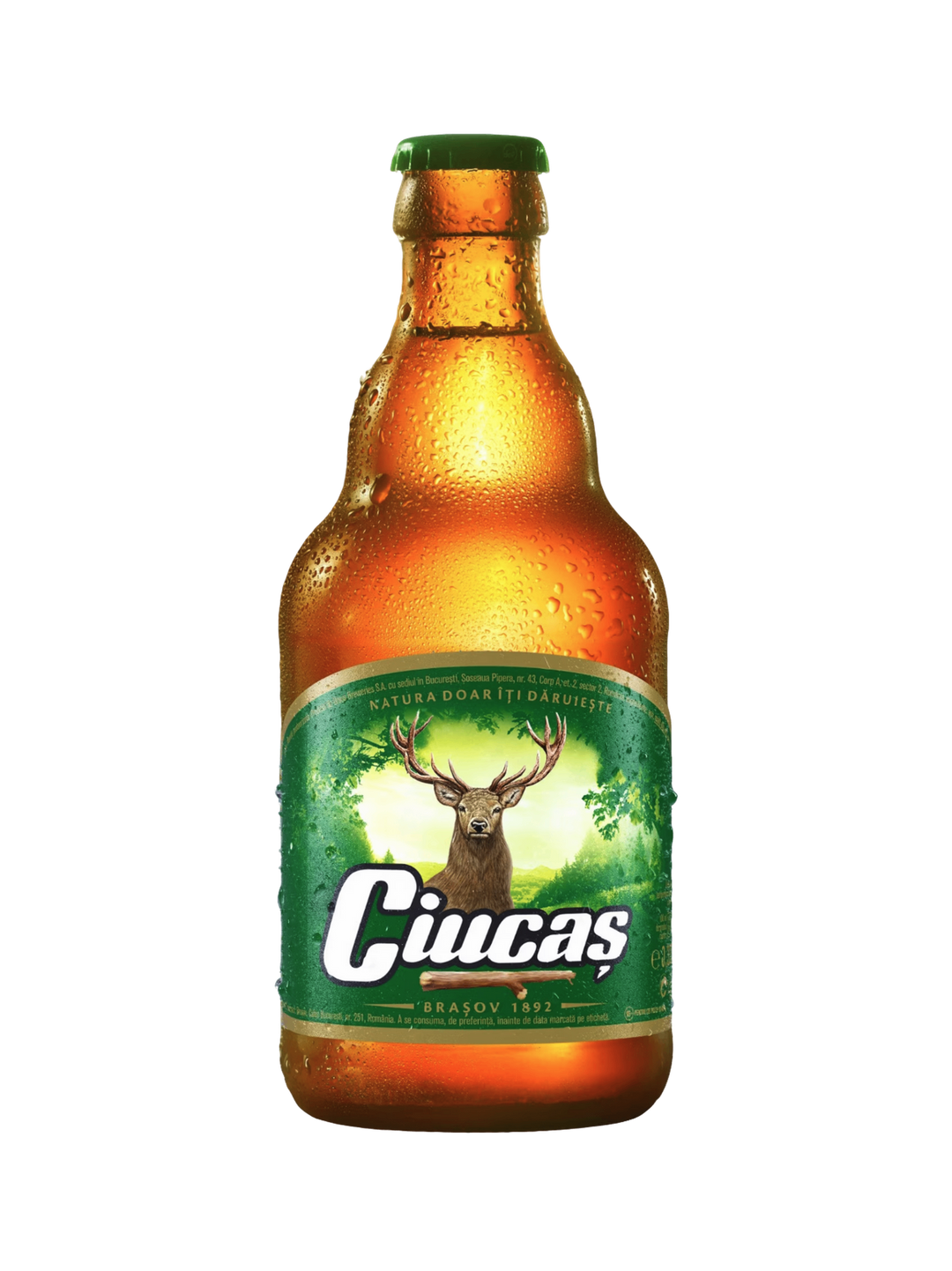 Ciucas Blonde Lager Romanian Beer – Romanian Drinks